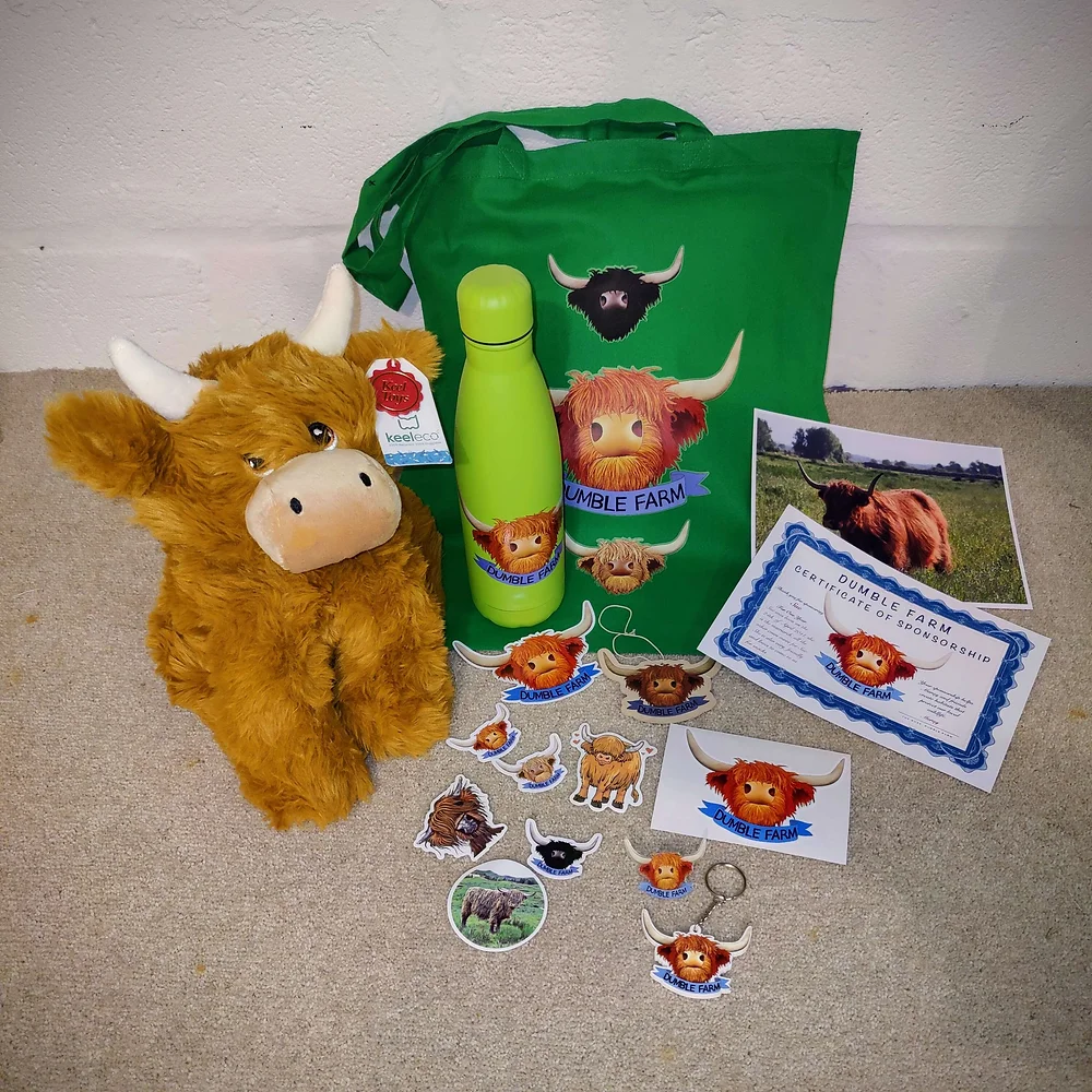 ELSPETH Highland Cow Experiences Highland Cow Sponsorship Dumble ELSPETH Highland Cow Experiences Highland Cow Sponsorship Dumble